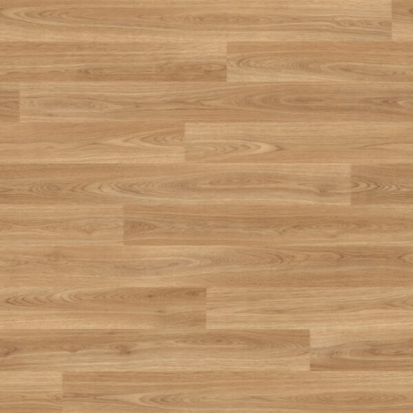 Buy Polyflor Acoustix Forest Fx PUR American Oak 3385 Online | Flooring ...