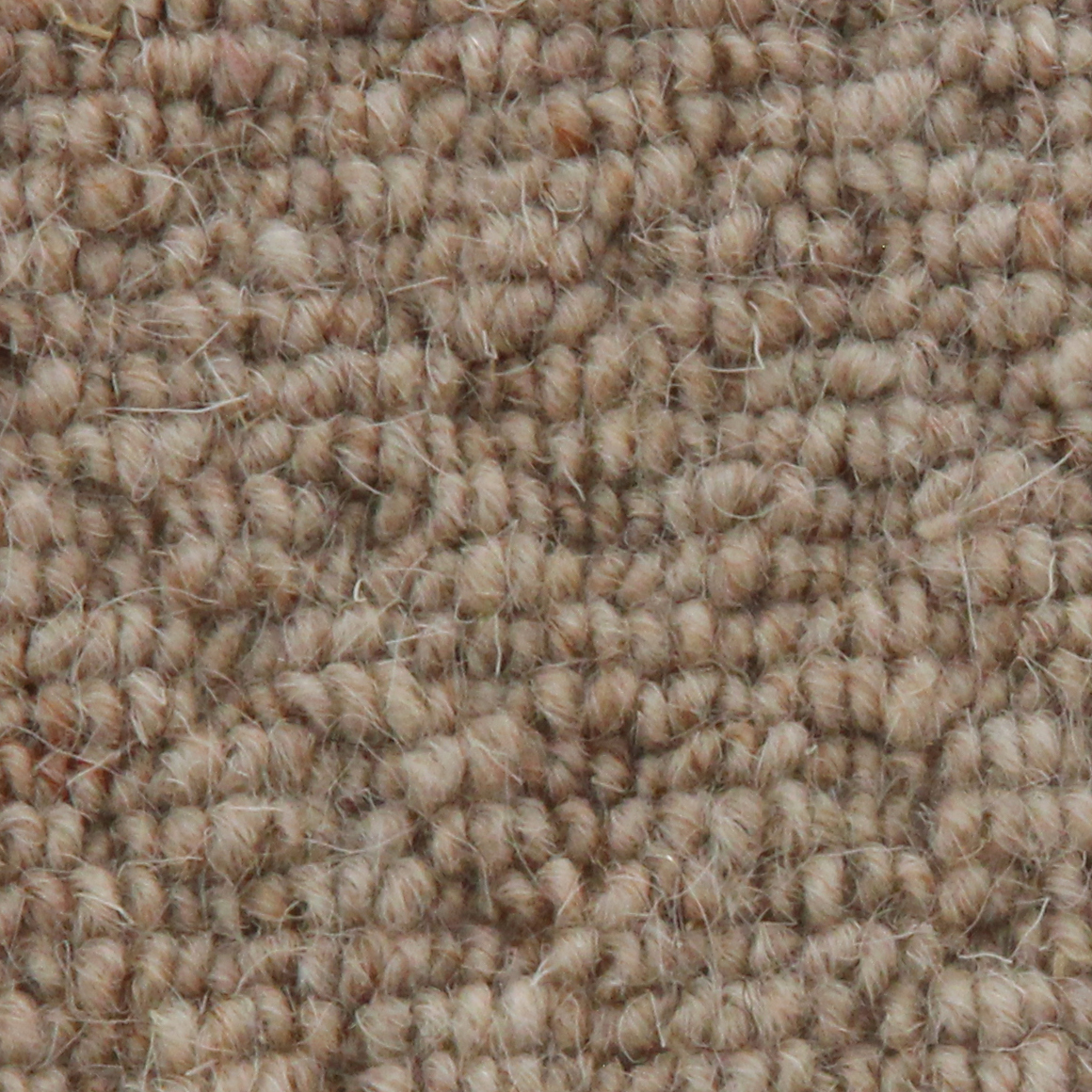 Vanguard Auckland - Hive Wheat 391 | Carpet | Free Samples