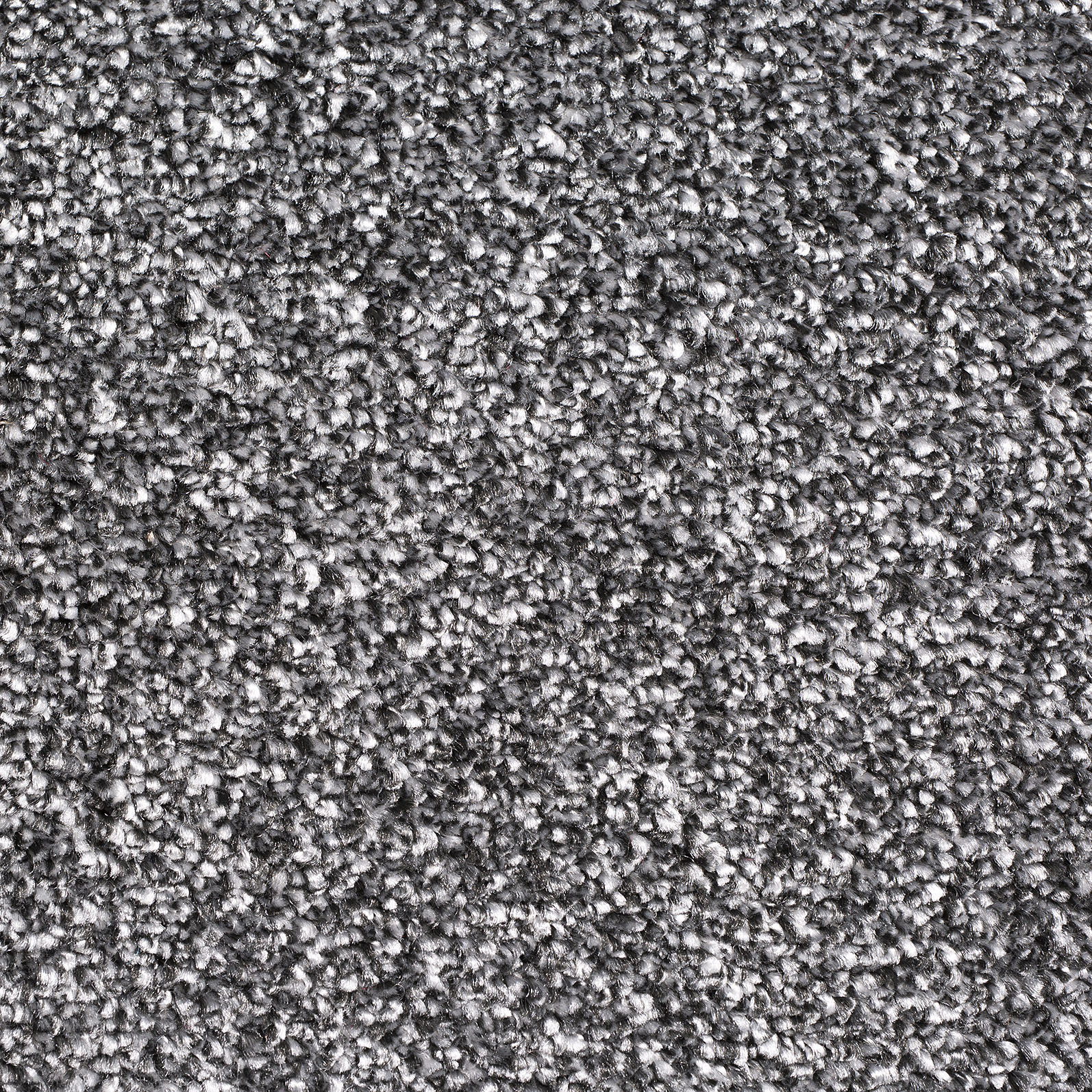 Vanguard Elysium - Gunmetal PR76 | Carpet | Free Samples