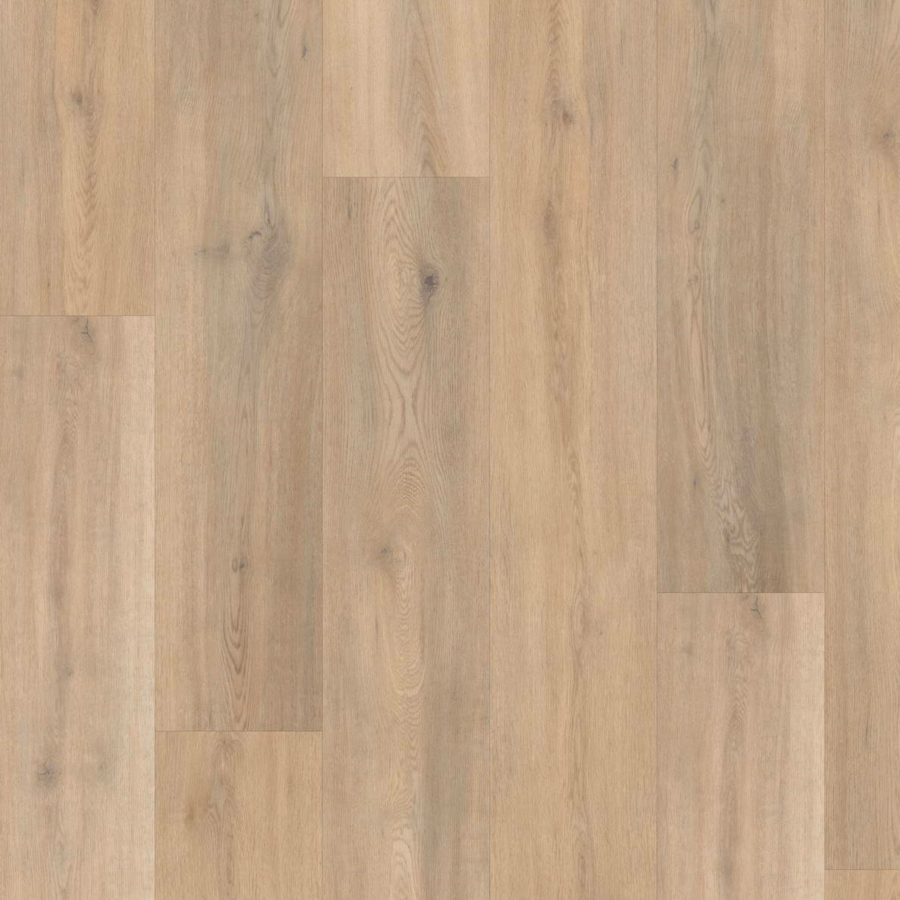 Buy Polyflor Camaro - Naked Blond Oak PLK2257 | Flooring King