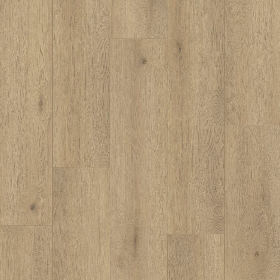 Royal Click Pro Silk Oak | Rigid Click LVT | Free Samples