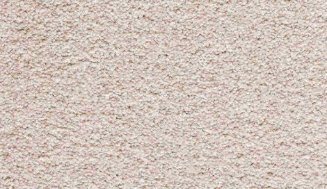 Balta Carpets | Free Samples Available
