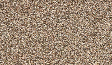 Balta Carpets | Free Samples Available